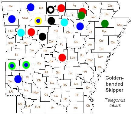 Arkansas Butterflies